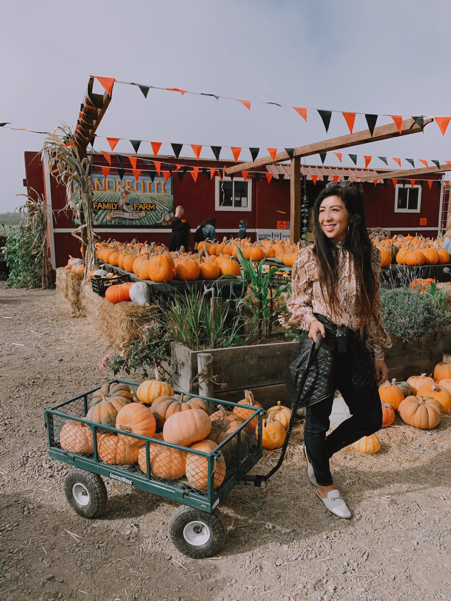 First Time Visiting a Pumpkin Patch - ohsobetty